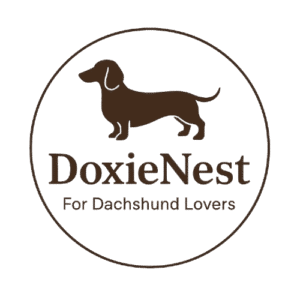 History of Dachshunds: Origins & Evolution of the Badger Dog